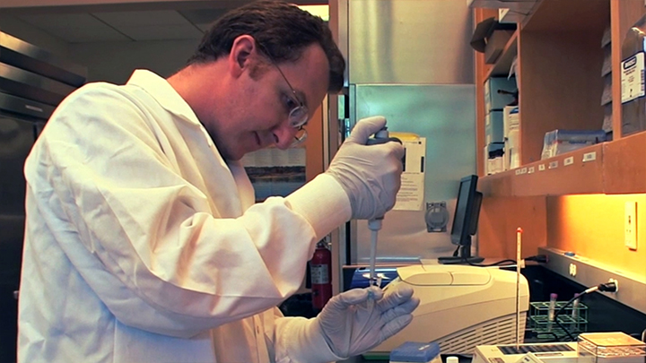 NEBNext® Ultra™ II DNA Library Prep with Sample Purification Beads | NEB