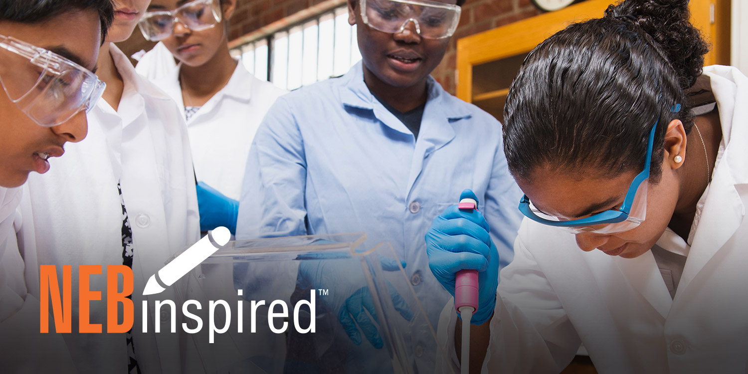 Support for educators provides an opportunity to teach hands-on molecular biology techniques | NEB