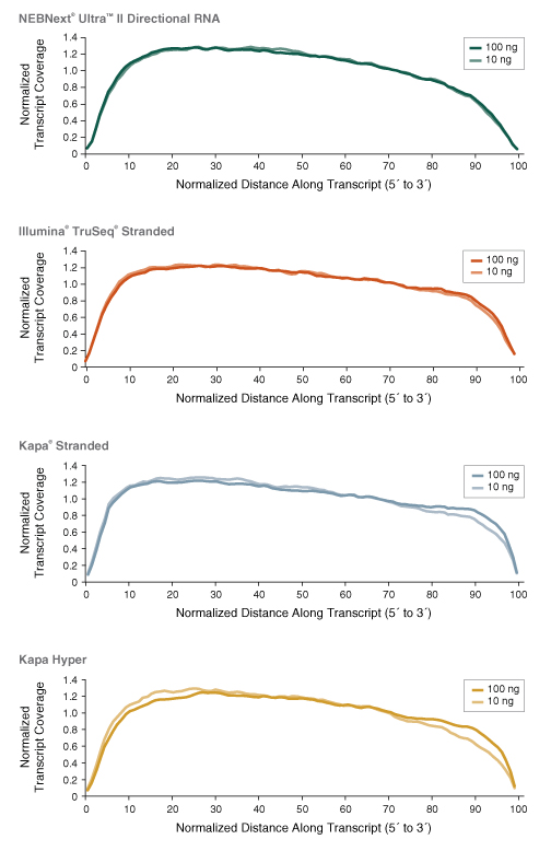 NEBNext® Ultra™ II Directional RNA Library Prep Library Preparation ...