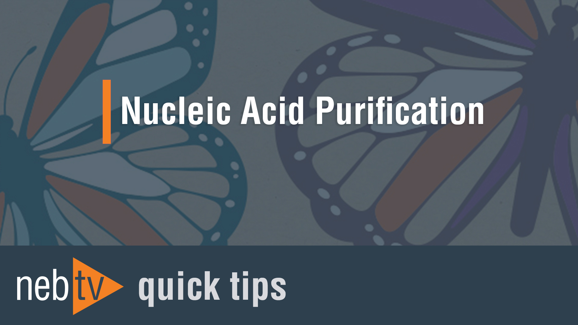 Monarch® PCR & DNA Cleanup Kit Protocol | NEB