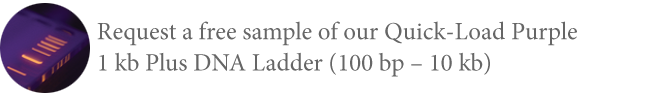 Quick-Load® 1 kb Plus DNA Ladder | NEB