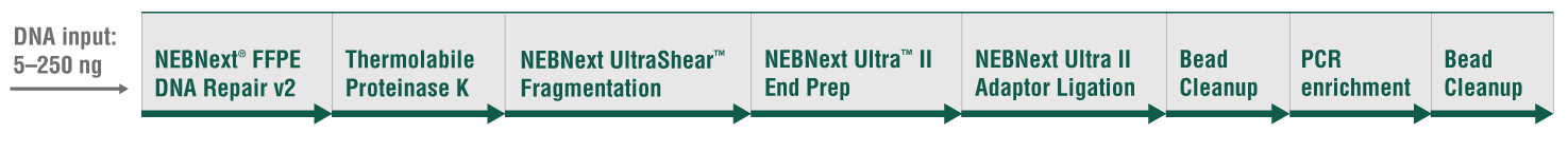 Nebnext Ultrashear® Ffpe Dna Library Prep Kit Neb