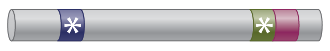 NEBNext® Multiplex Oligos Selection Chart | NEB