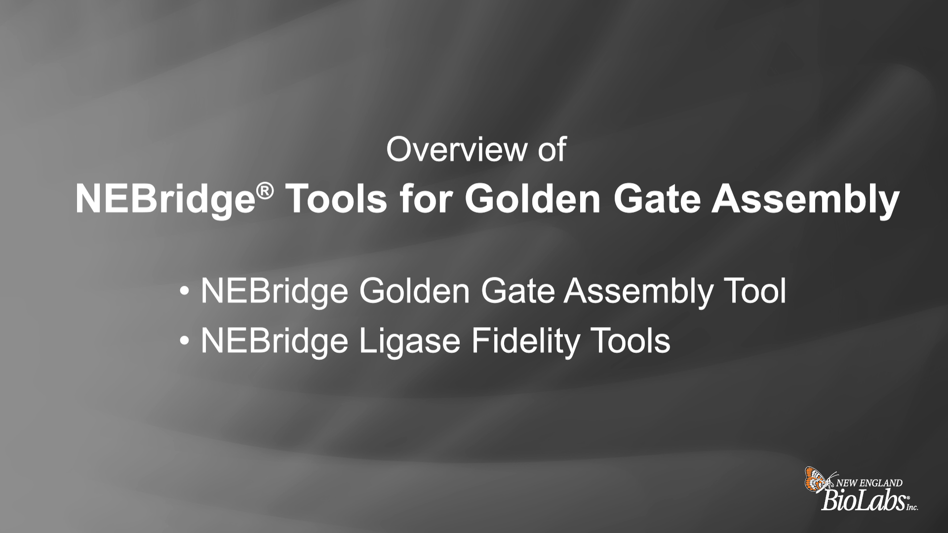 Golden Gate Assembly Workflow | NEB