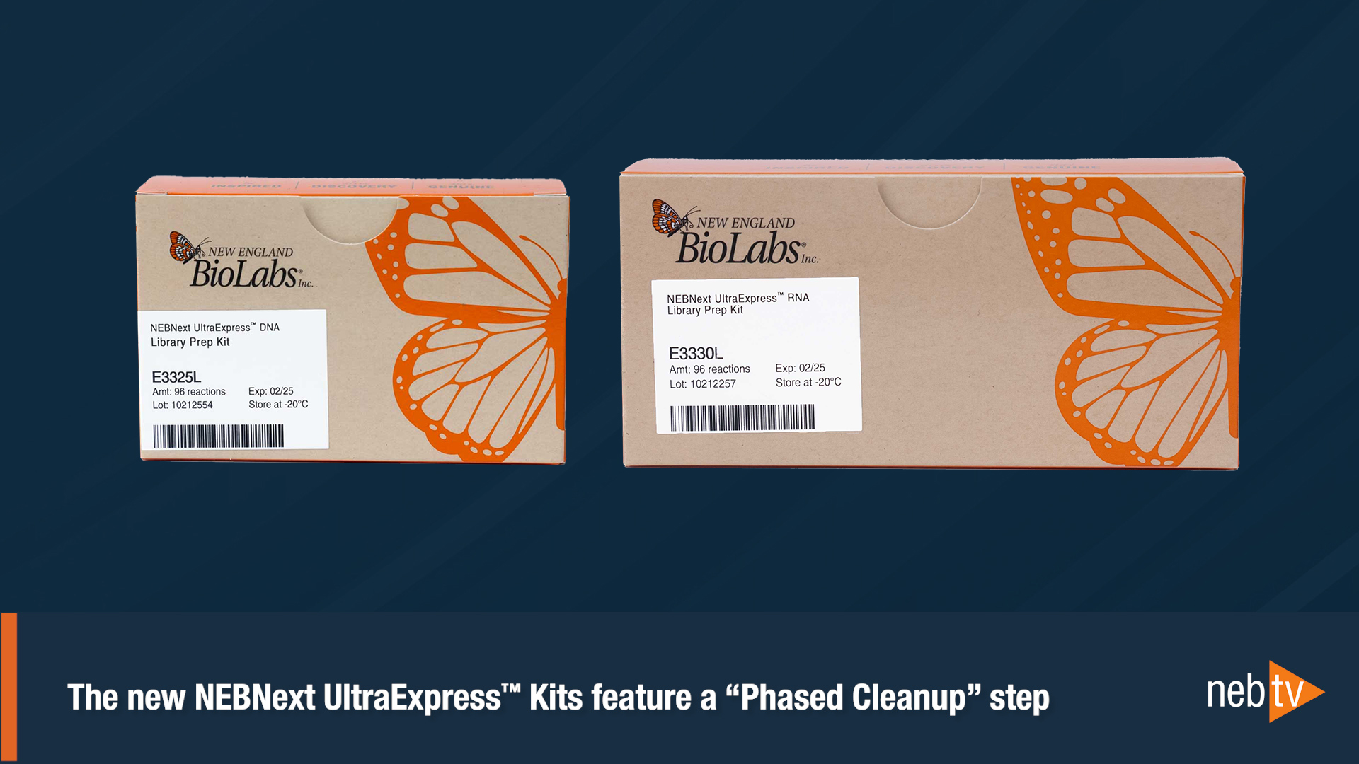 DNA Library Prep for Illumina | NEB