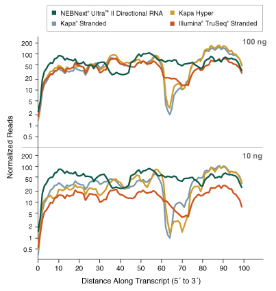 NEBNext® Ultra™ II Directional RNA Library Prep Library Preparation ...