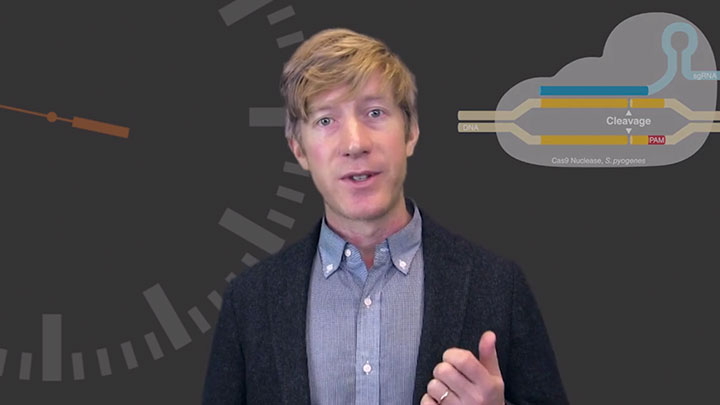 Mutation Detection Reagents and Kits | NEB