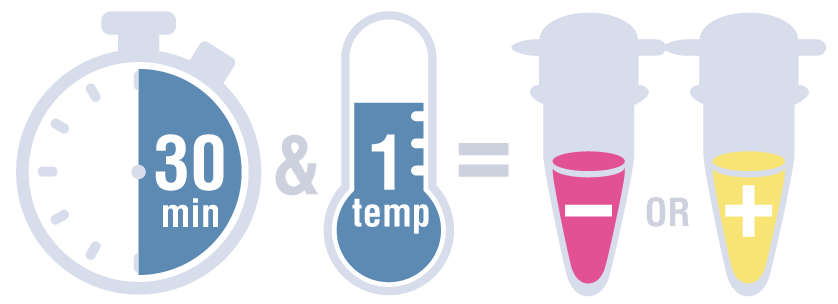 SARS-CoV-2 Rapid Colorimetric LAMP Assay Kit | NEB