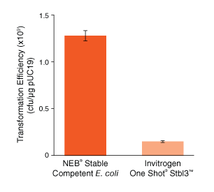 NEB® Stable E. coli 感受态细胞（高效级） | NEB