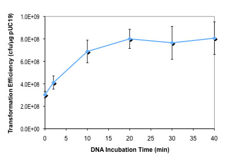 NEBExpress® Competent E. coli (High Efficiency) | NEB