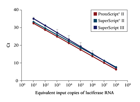 ProtoScript® II cDNA 第一链合成试剂盒 | NEB
