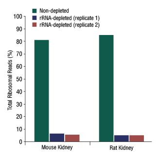 NEBNext® rRNA Depletion Kit (Human/Mouse/Rat) | NEB