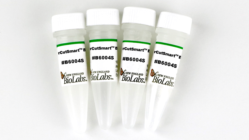 NEBuffer™ 套装（r1.1、r2.1、r3.1 和 rCutSmart™） | NEB