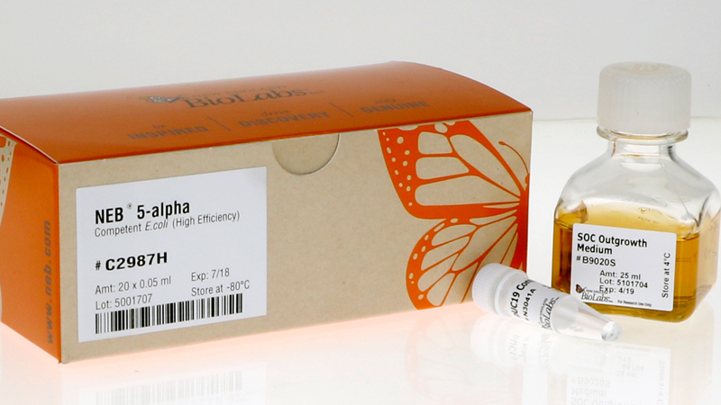BioBrick® Assembly Kit | NEB