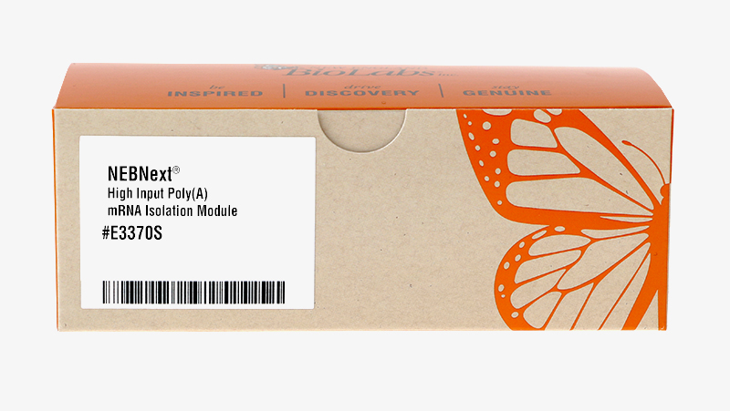 查找纳米孔测序产品 | NEB