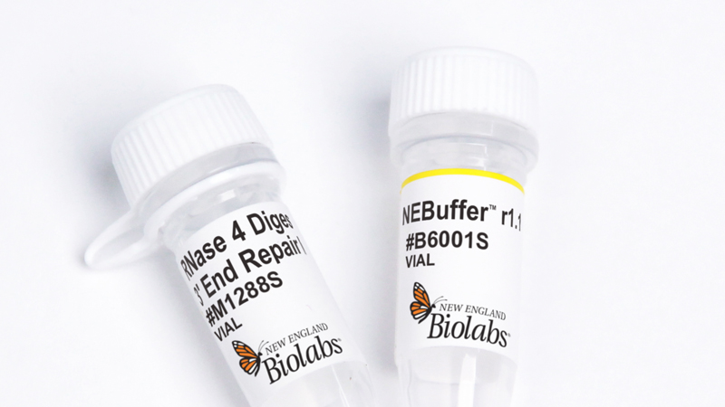 生命科学试剂 | NEB