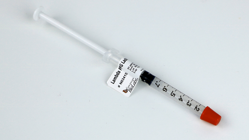 HeLa Genomic DNA | NEB