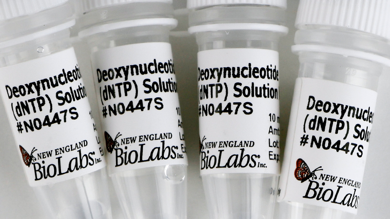 Q5® 反应缓冲液套装 | NEB