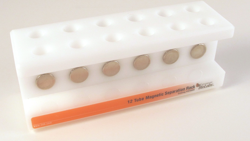 抗 MBP 磁珠 | NEB