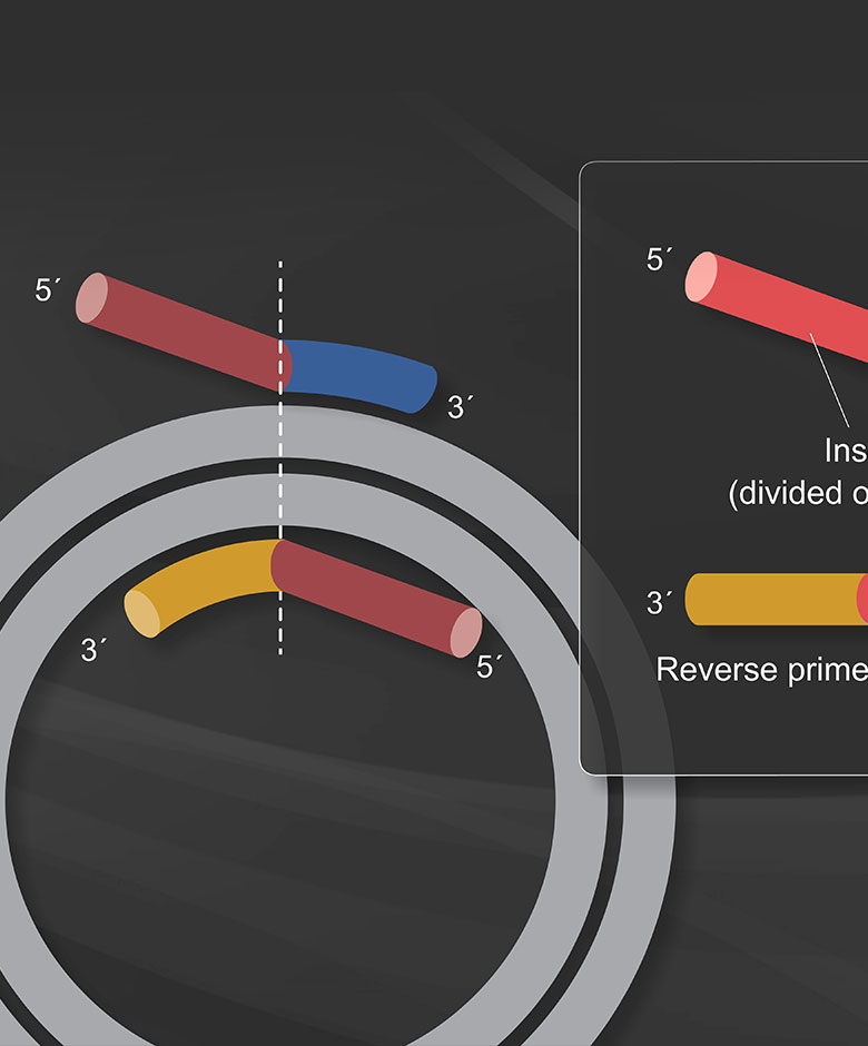 生命科学试剂 | NEB