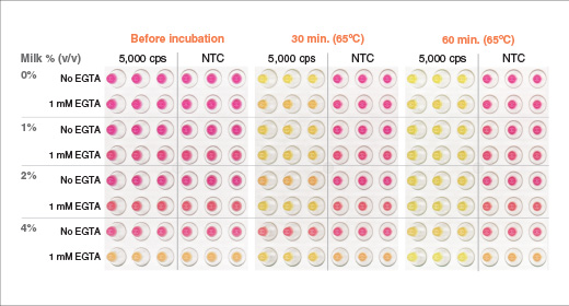 生命科学试剂 | NEB