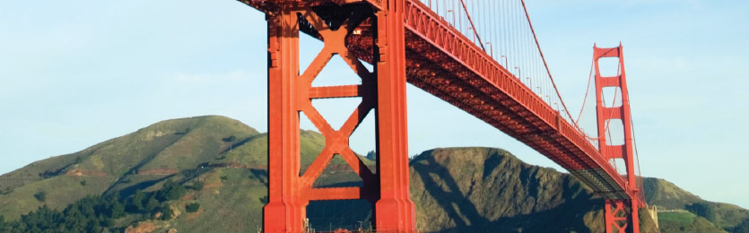 Golden Gate Assembly | NEB