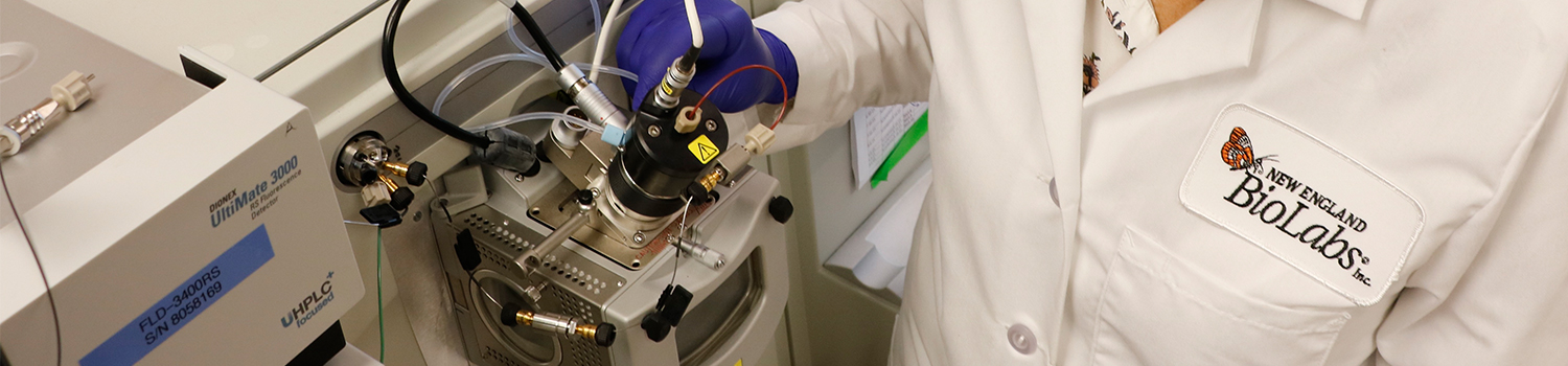 What is Glycobiology? | NEB