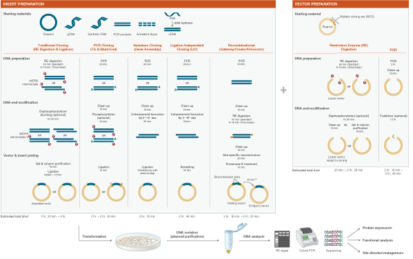 Cloning & Synthetic Biology | NEB