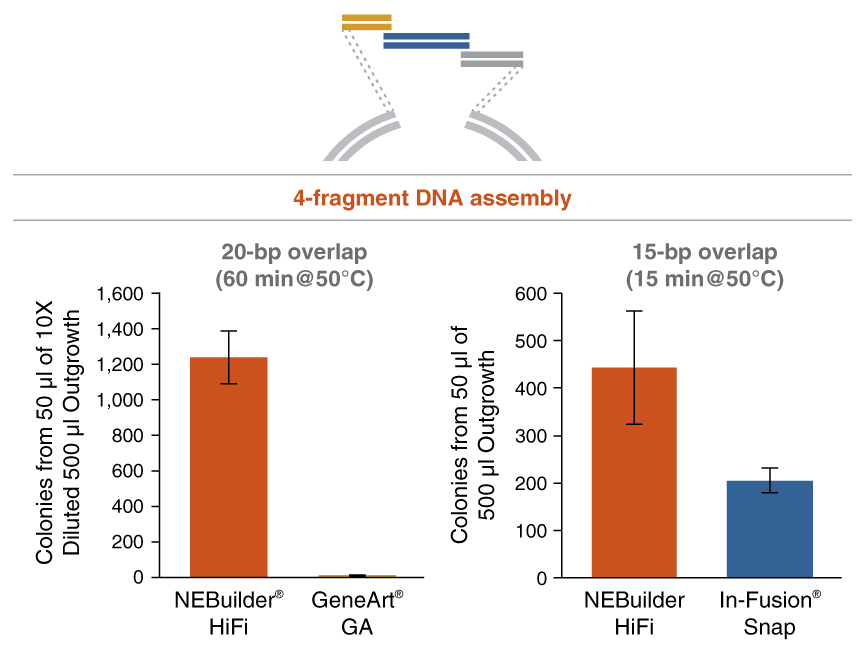 NEBuilder® HiFi DNA Assembly – Benefits Over GeneArt Gibson Assembly ...