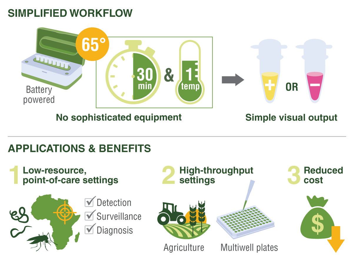 Monitoring tick and mosquito infections using LAMP: Screening for EEE ...