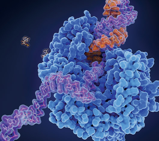 NEBinspired® Blog | NEB