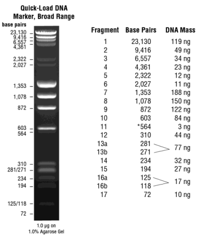 What are the details of the Quick-Load, Broad Range DNA Marker (NEB #N0303)? | NEB