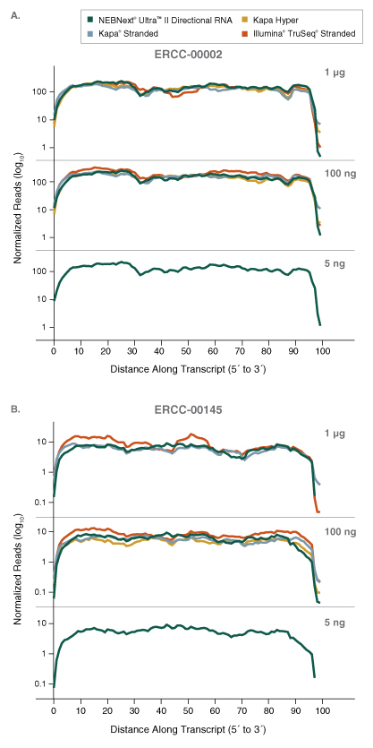 NEBNext® Ultra™ II Directional RNA Library Prep - Maximizing Transcript ...