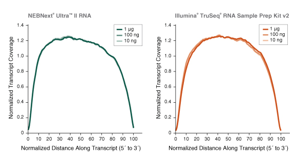 NEBNext® Ultra™ II RNA Library Prep (Non-directional) Maximizing ...