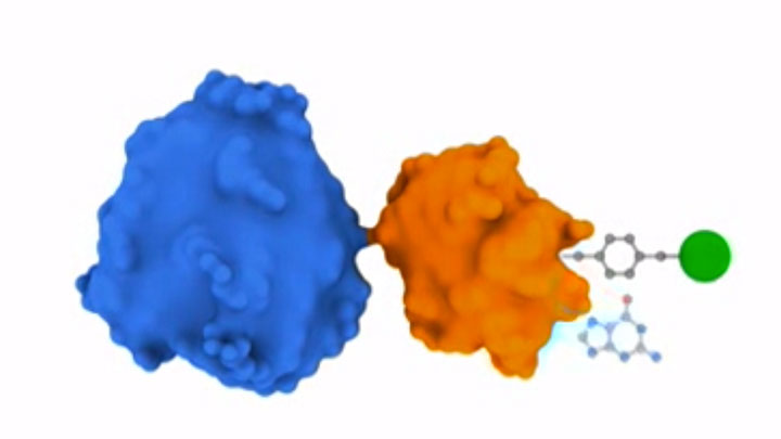 SNAP-tag 底物产品 | NEB