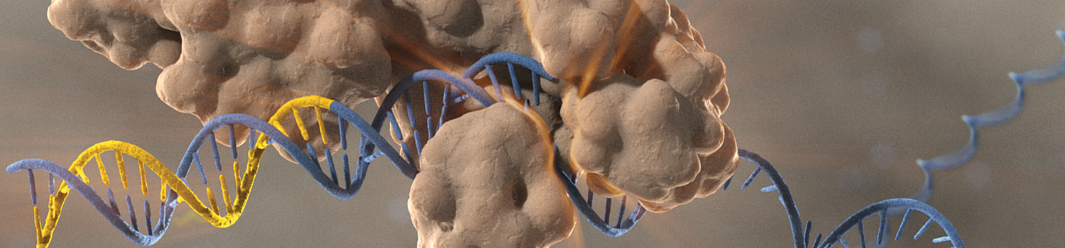 Phusion™ 超保真 DNA 聚合酶产品 | NEB