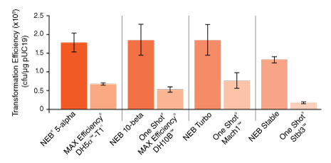 Cloning Competent Cell Strains | NEB