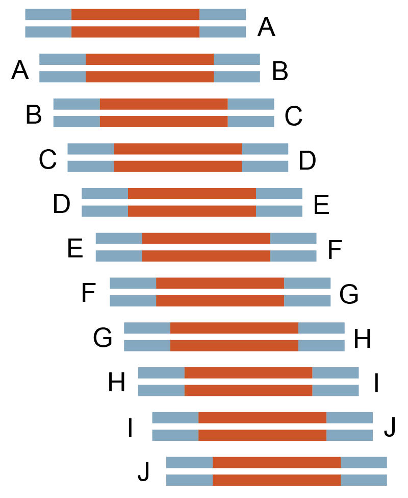 Guidelines for using NEBuilder® HiFi DNA Assembly | NEB