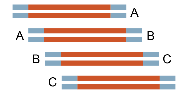 Guidelines for using NEBuilder® HiFi DNA Assembly | NEB