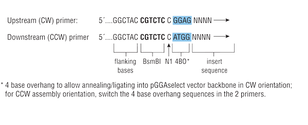 Insert Considerations for NEBridge® Golden Gate Assembly Kit (BsmBI-v2 ...