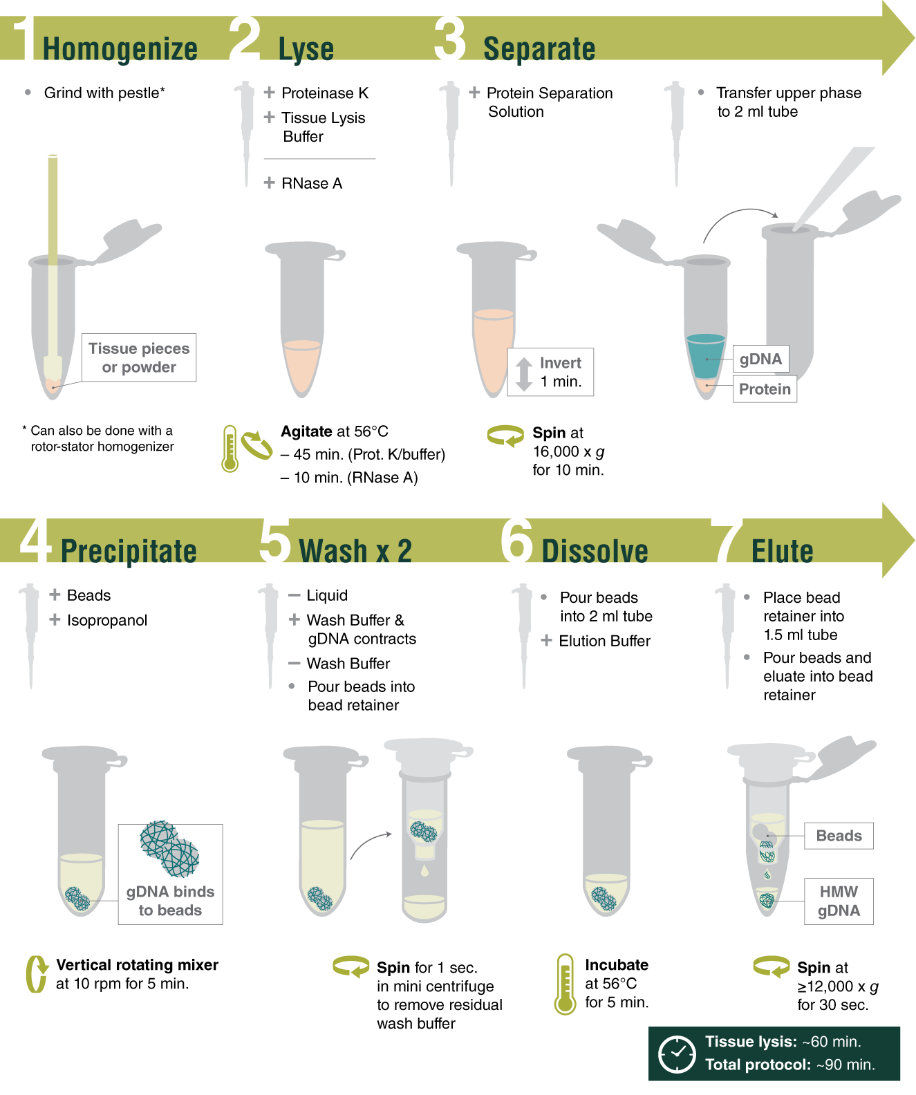Monarch Hmw Dna Extraction Kit For Tissue Neb