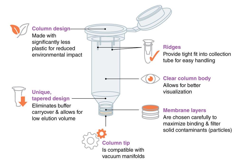 Monarch® 离心柱法 PCR & DNA 纯化试剂盒（5 μg） | NEB