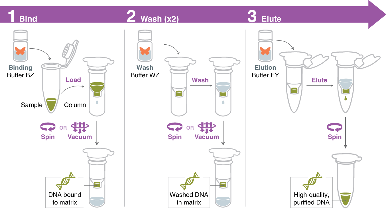 Monarch® 离心柱法 PCR & DNA 纯化试剂盒（5 μg） | NEB