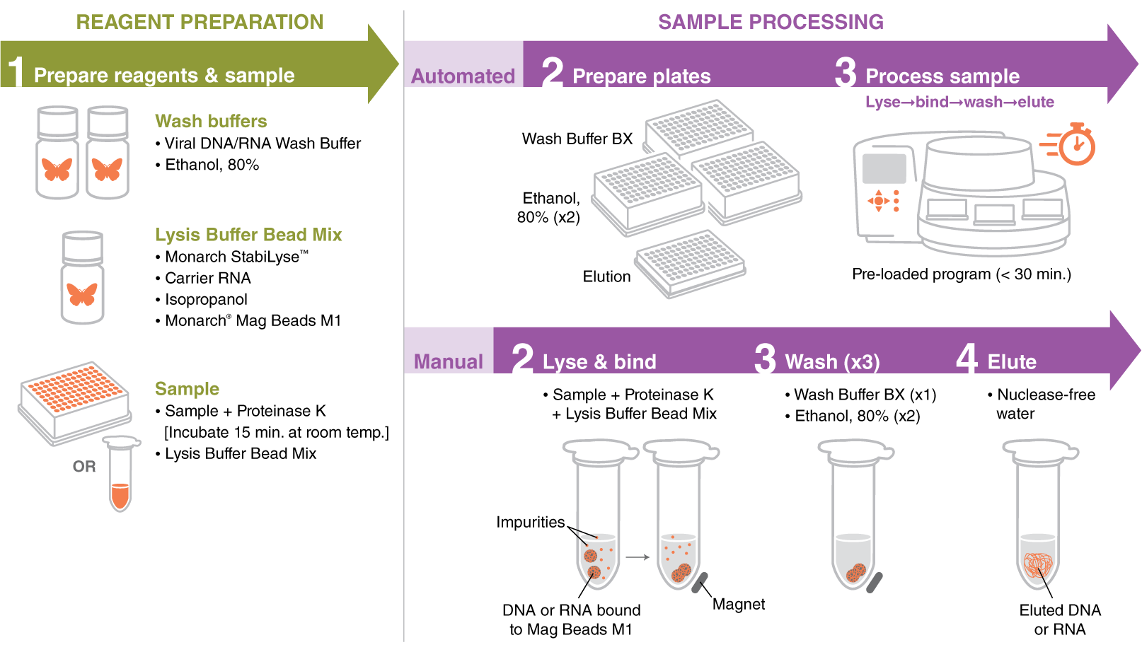 Monarch® 磁珠法病毒 DNA/RNA 提取试剂盒 | NEB