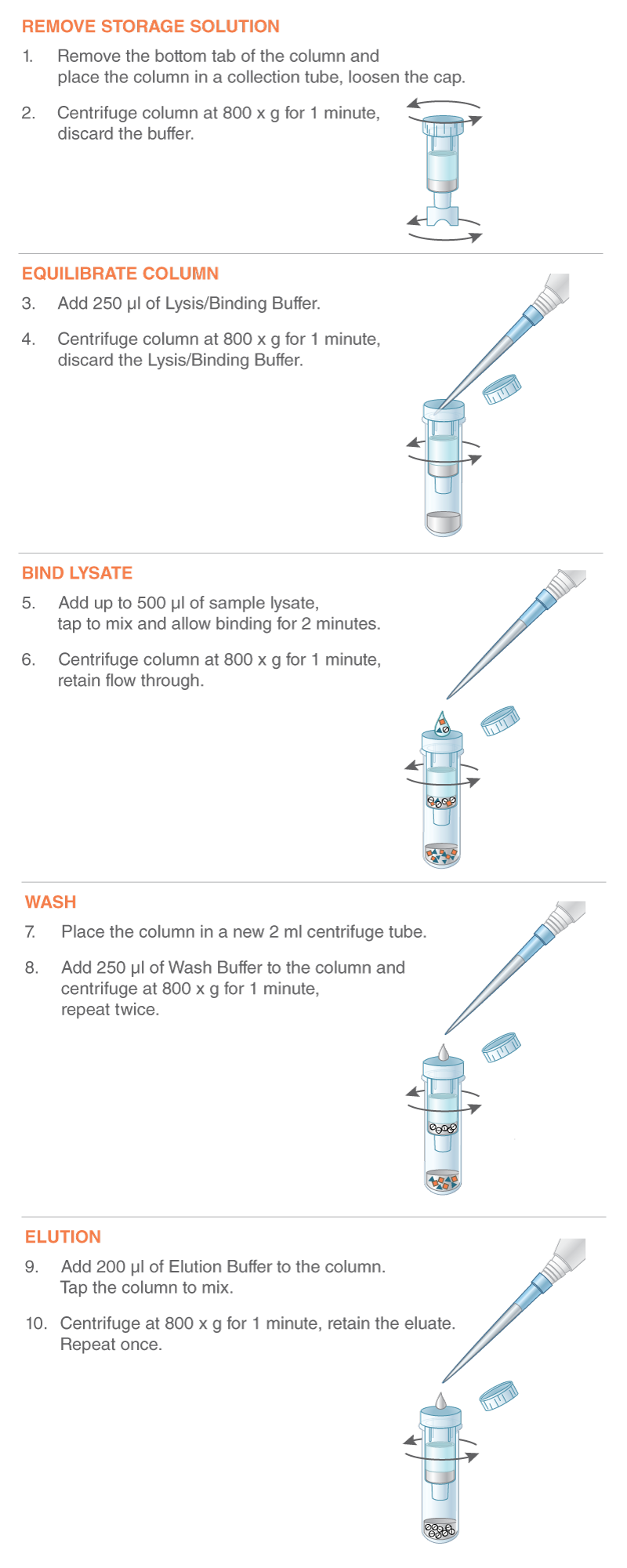 NEBExpress Ni Spin Columns | NEB