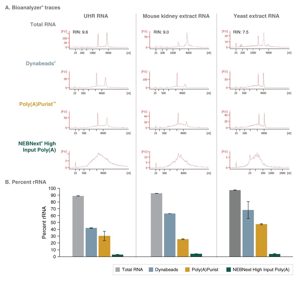 NEBNext® 高起始量 Poly(A) mRNA 分离模块 | NEB