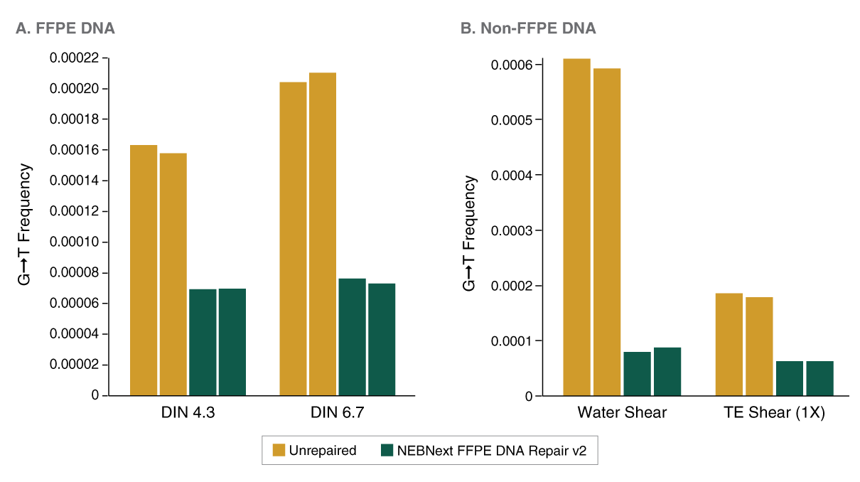 NEBNext FFPE DNA 修复模块 v2 | NEB