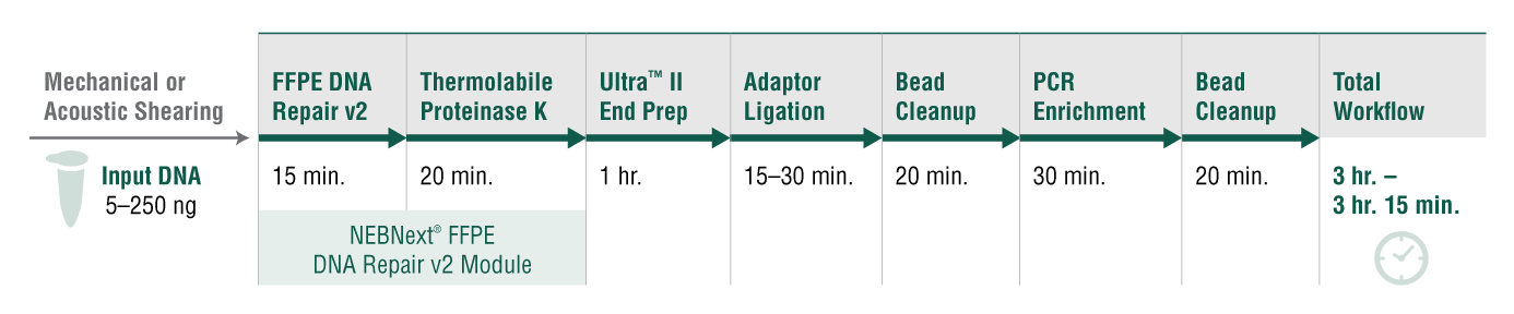 FFPE DNA 修复产品 | NEB