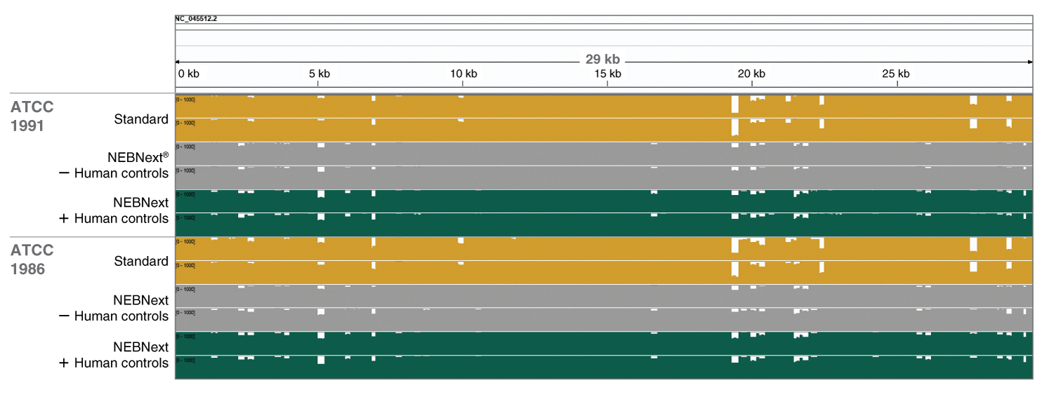 NEBNext® ARTIC SARS-CoV-2 Library Prep Kit (Illumina®) | NEB