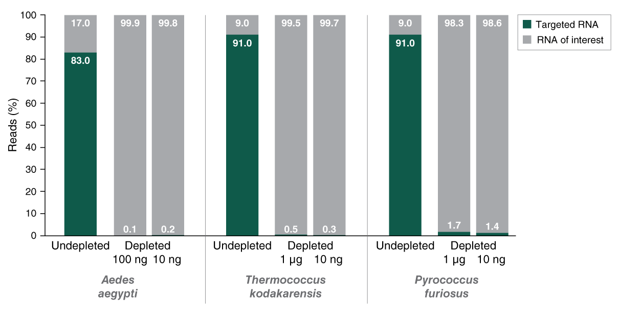 NEBNext® RNA Depletion Core Reagent Set | NEB